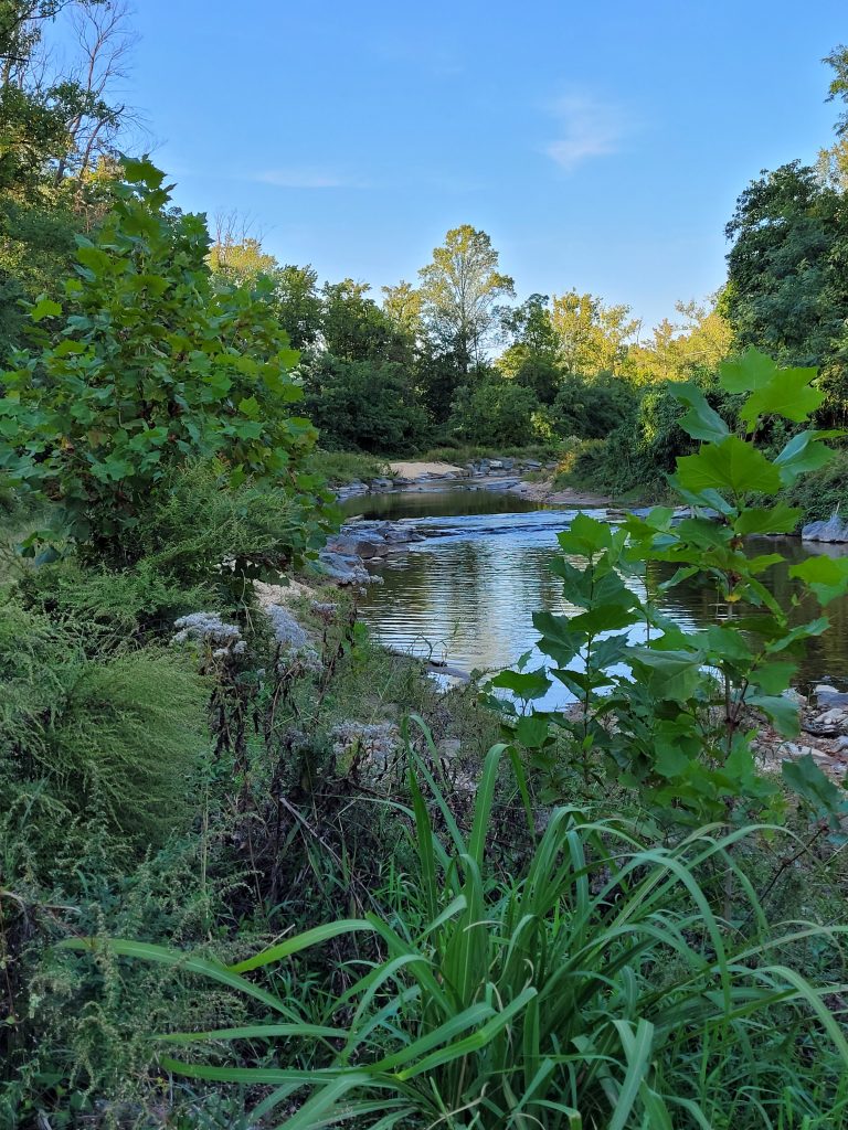 Paint Branch Stream Valley Park - Chesapeake Conservation Landscaping ...