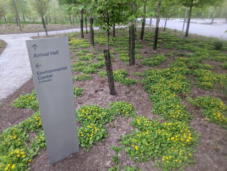 Renovating the Glenstone Museum Arrival Hall Landscape - Chesapeake ...