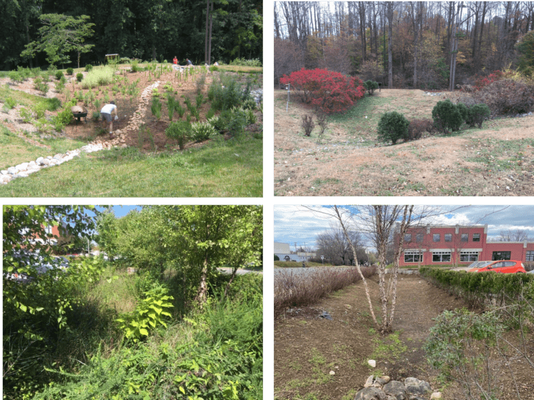 Stormwater BMP Maintenance Plans — Notes From The Bush - Chesapeake ...