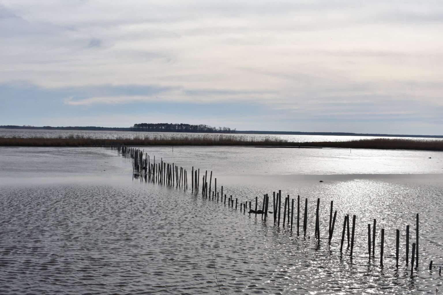 Blackwater Wildlife Refuge’s Ever Changing Landscape - Chesapeake Conservation Landscaping Council
