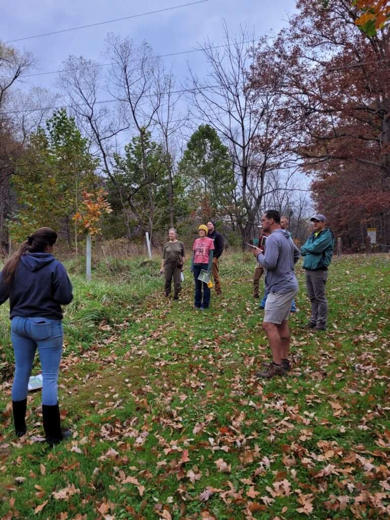 Restoring Nature: The Bee Tree Run Riparian Buffer Success Story ...