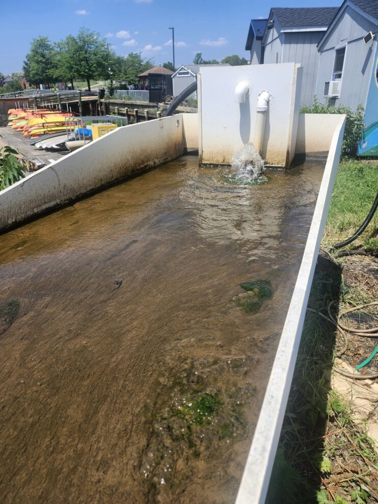 Algal Turf Scrubbers - Chesapeake Conservation Landscaping Council