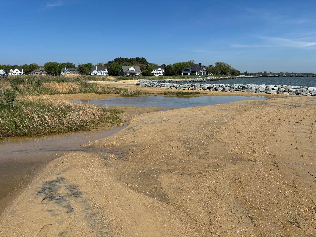 Building Community and Stronger Shorelines as a Chesapeake Conservation ...