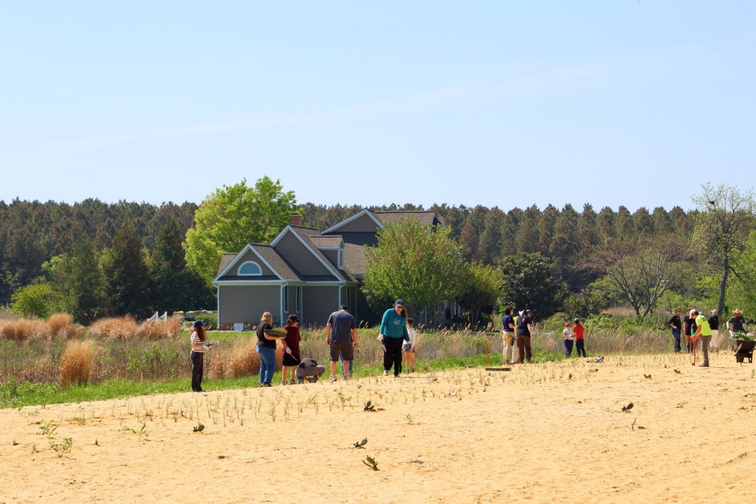 Building Community and Stronger Shorelines as a Chesapeake Conservation ...