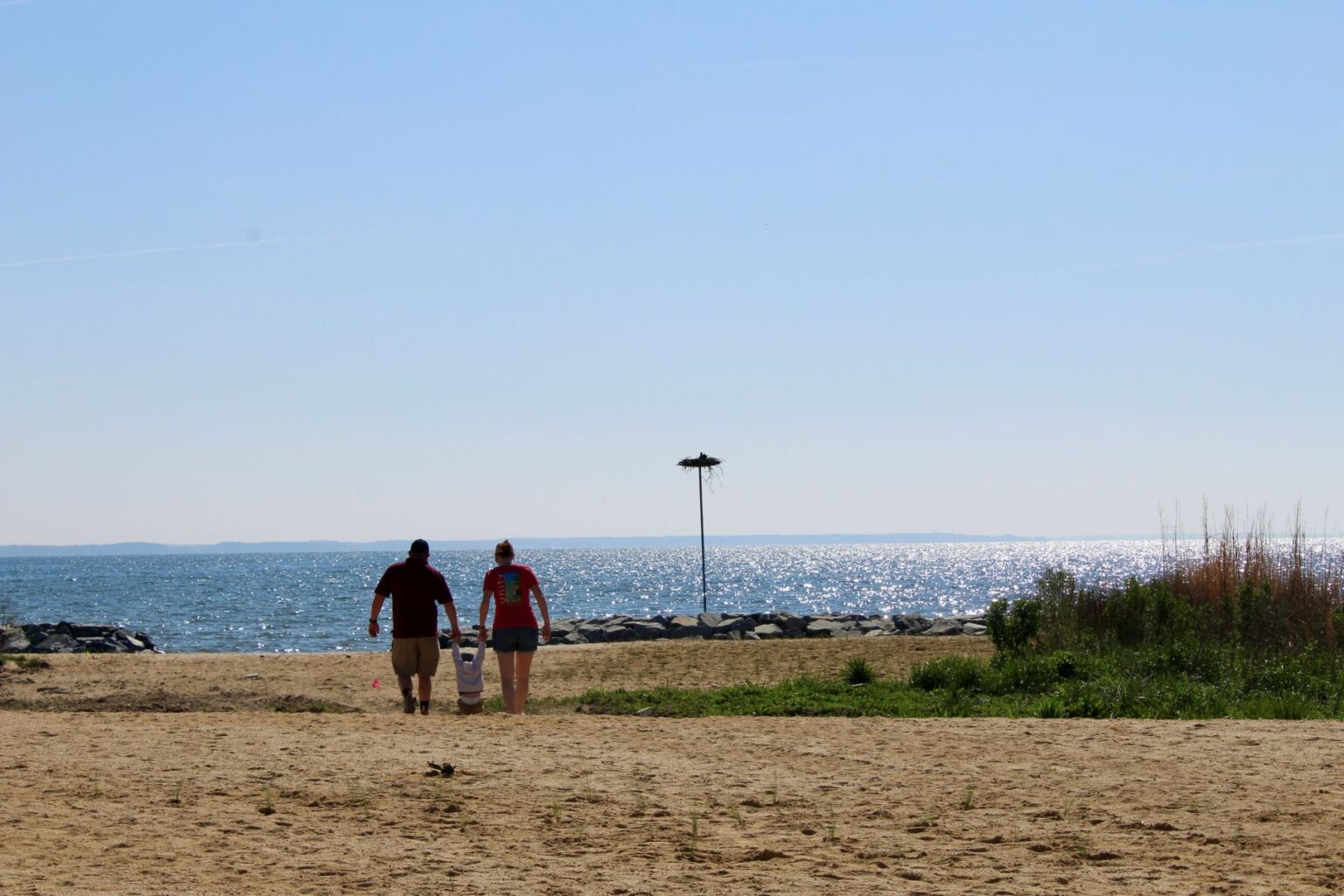 Building Community and Stronger Shorelines as a Chesapeake Conservation ...